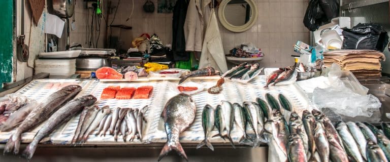What to visit in Porto, or should I say Oporto? | holiday-active.com